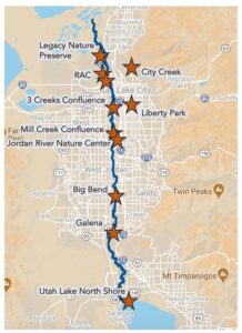 Bird Walks - Conservation