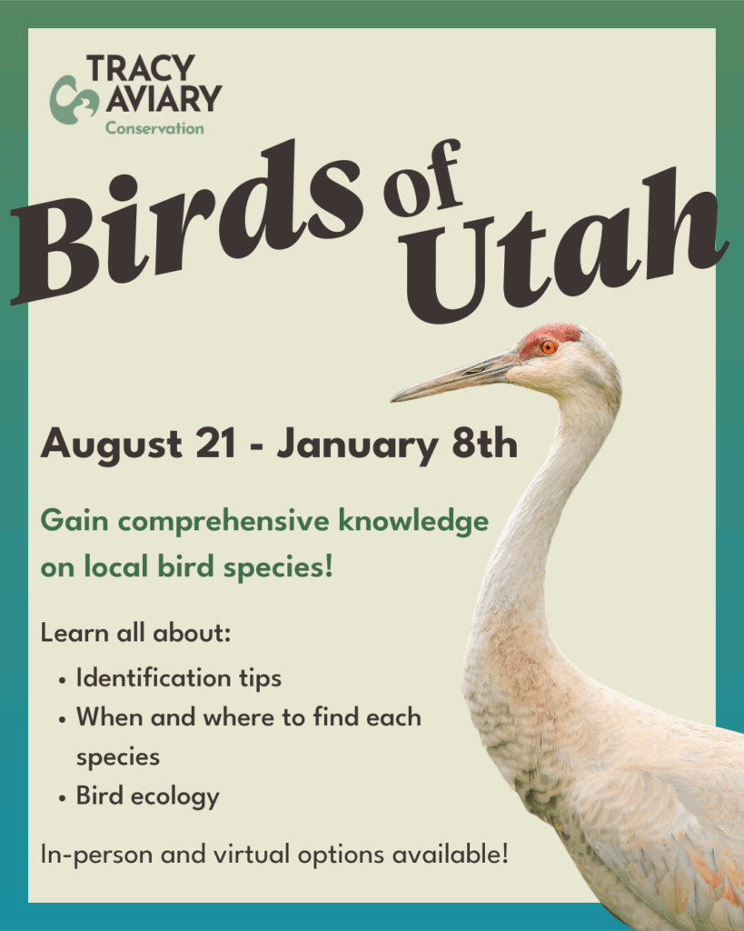 Birds of Utah Class - Conservation