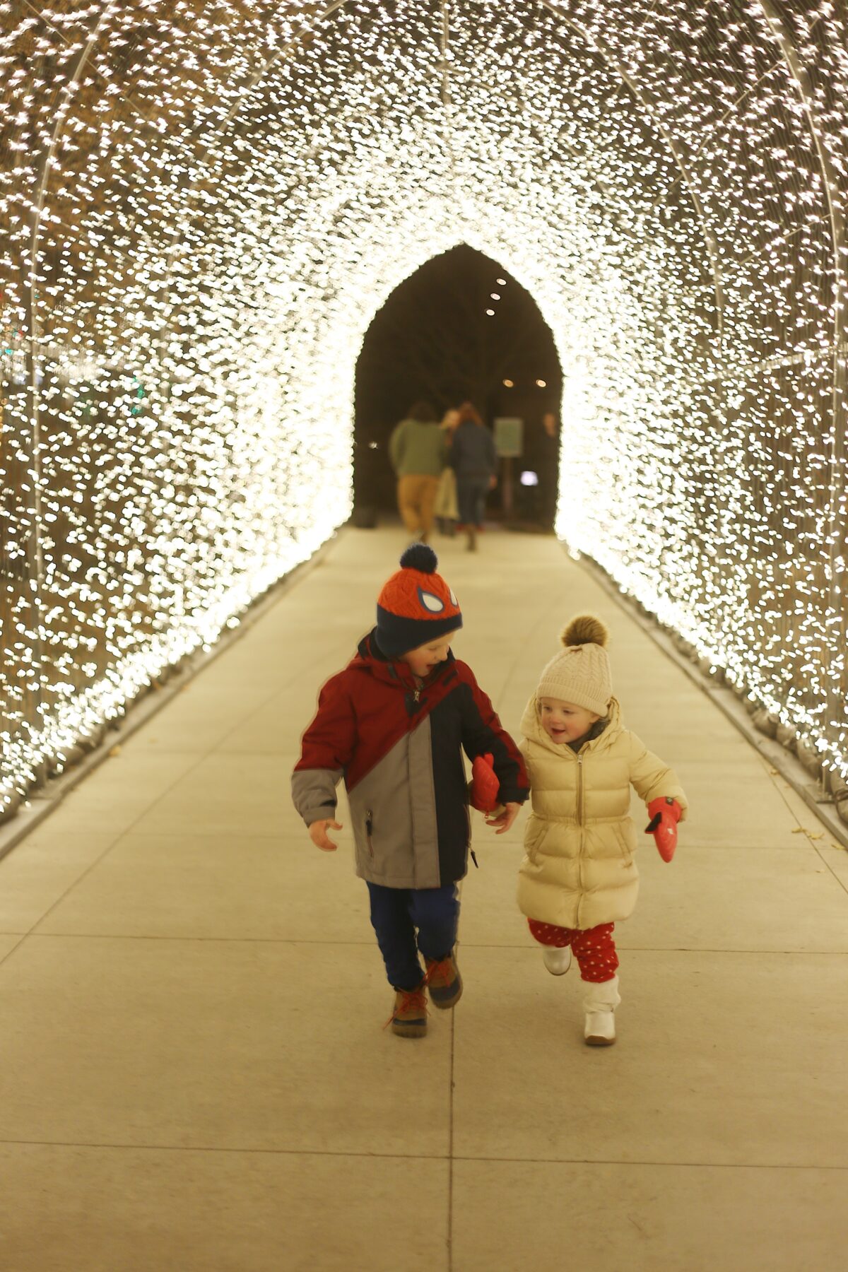 Lightwalk at Tracy Aviary - Liberty Park