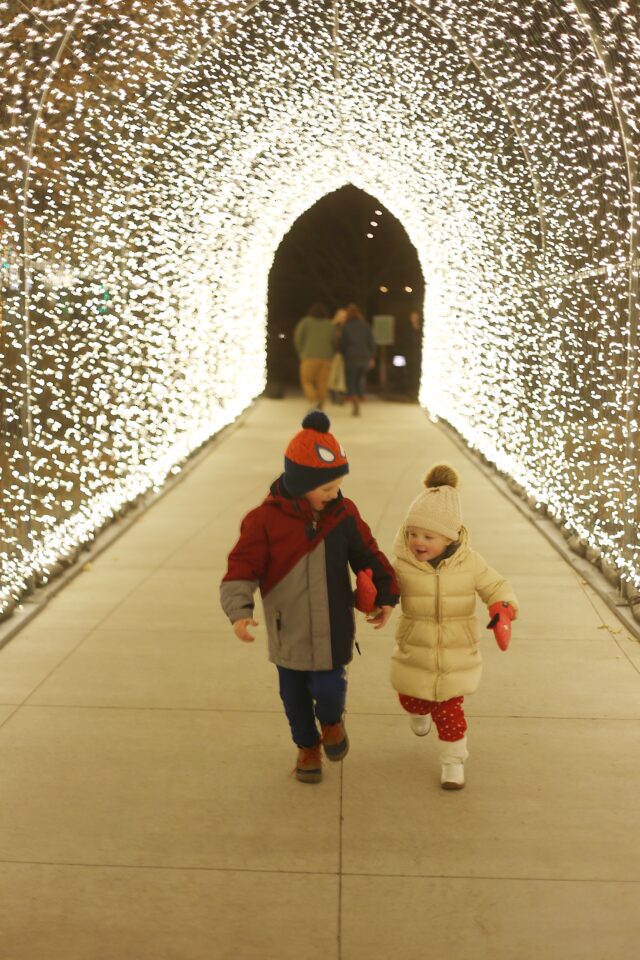 Lightwalk at Tracy Aviary - Liberty Park