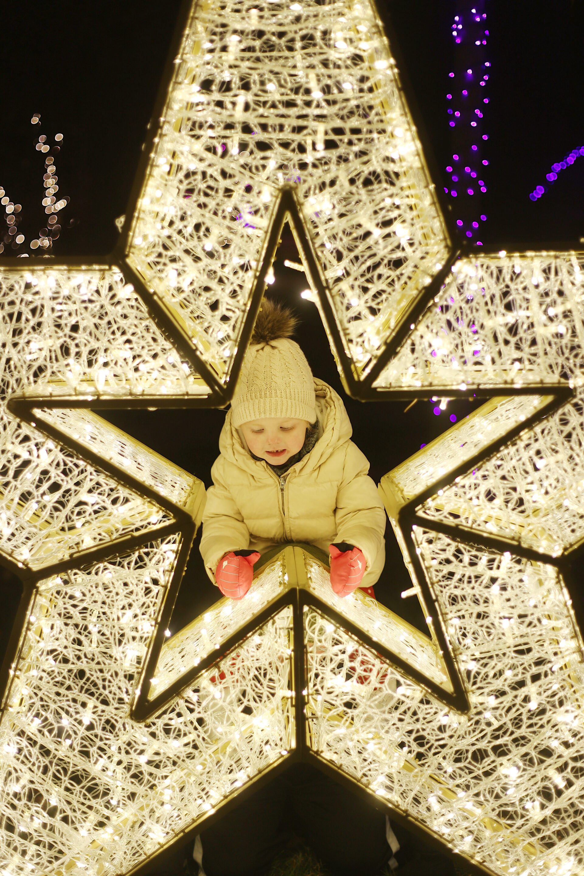 Lightwalk at Tracy Aviary - Liberty Park