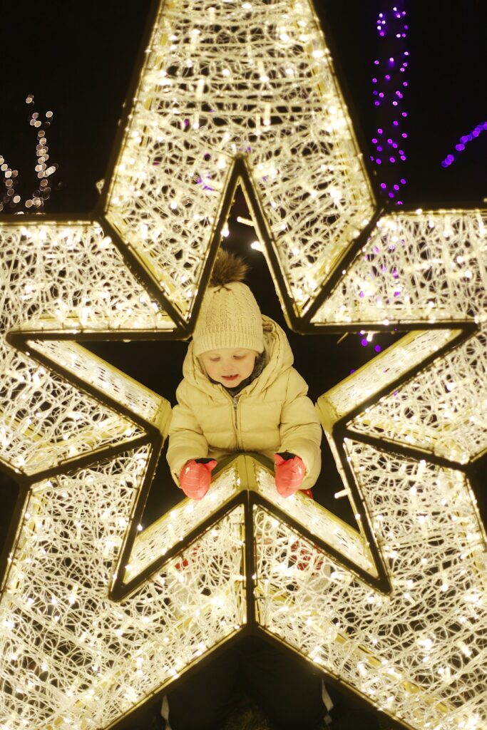 Lightwalk at Tracy Aviary - Liberty Park