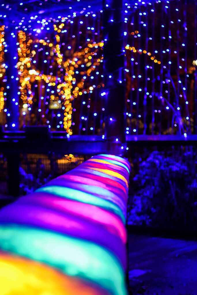 Lightwalk at Tracy Aviary - Liberty Park