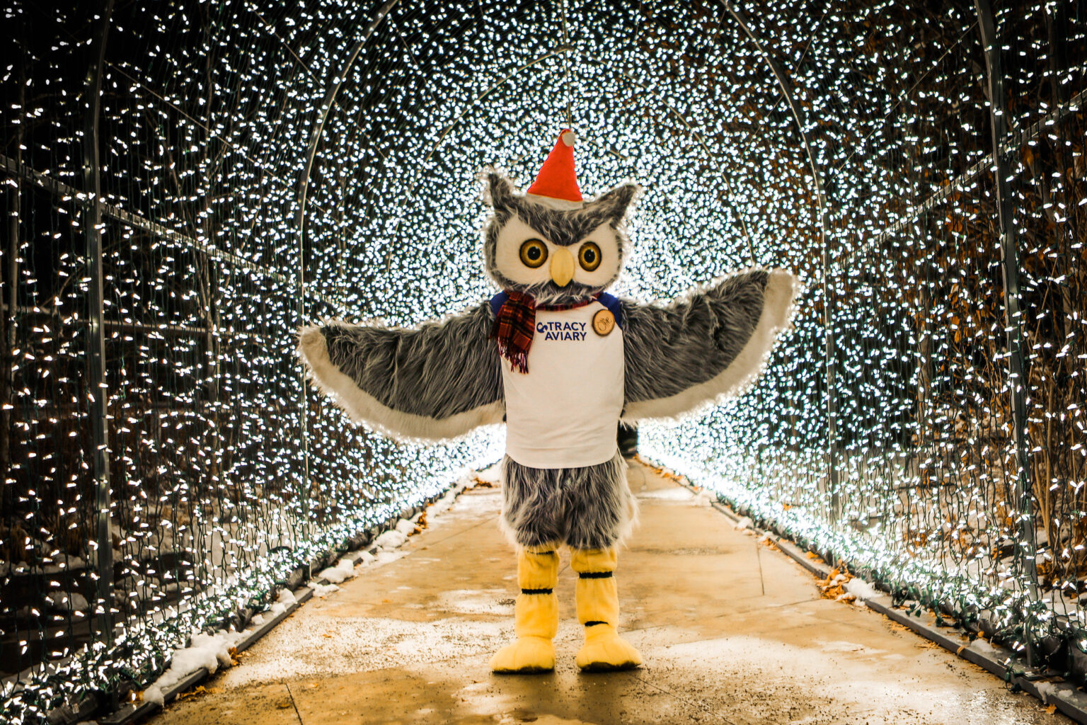 Lightwalk at Tracy Aviary - Liberty Park