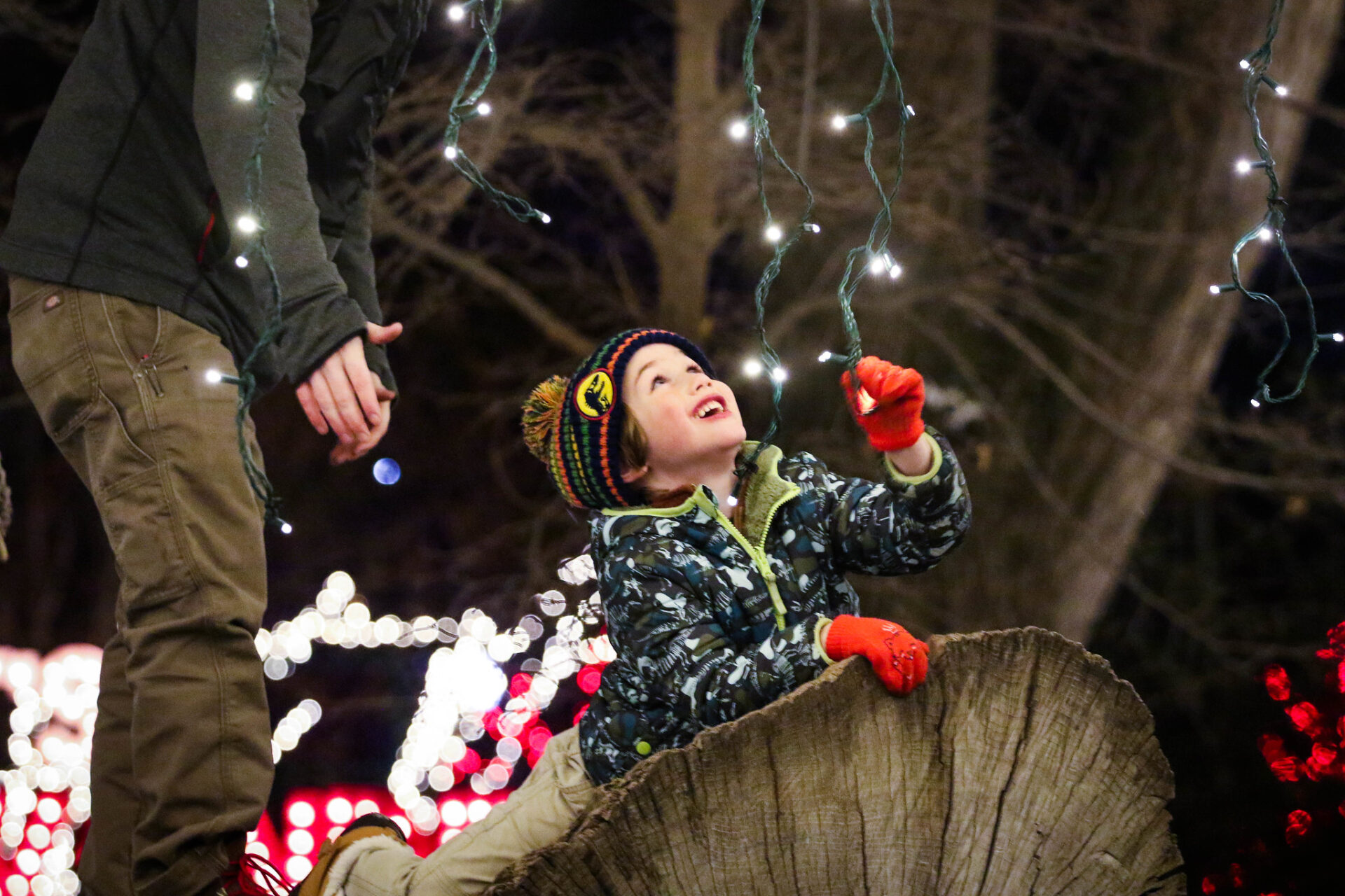 Lightwalk at Tracy Aviary - Liberty Park