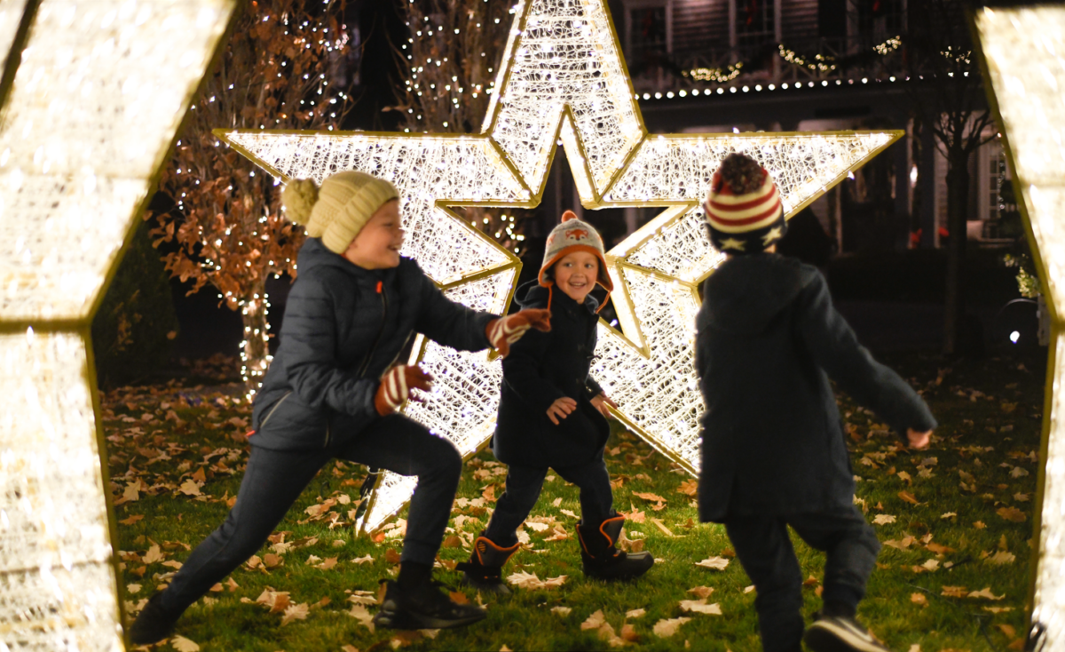 Lightwalk at Tracy Aviary - Liberty Park