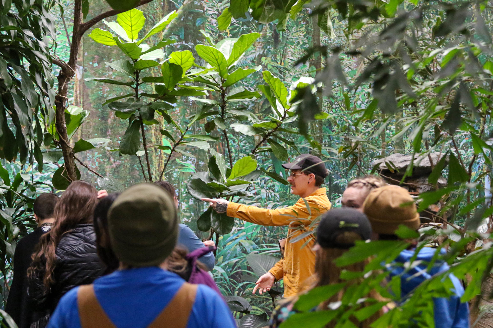 Daily Programs & Activities at Liberty Park's Tracy Aviary