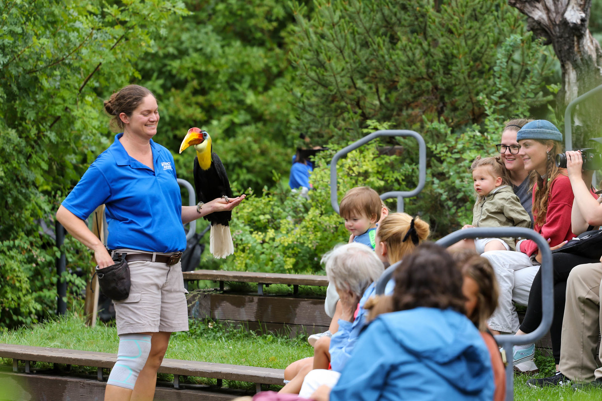 Daily Programs & Activities at Liberty Park's Tracy Aviary