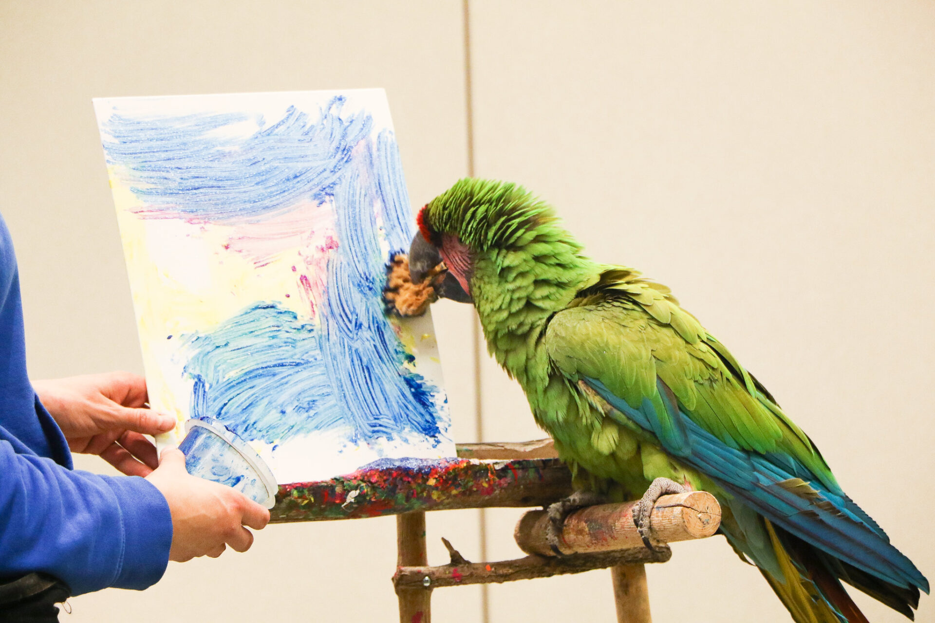 Backstage Passes - Liberty Park