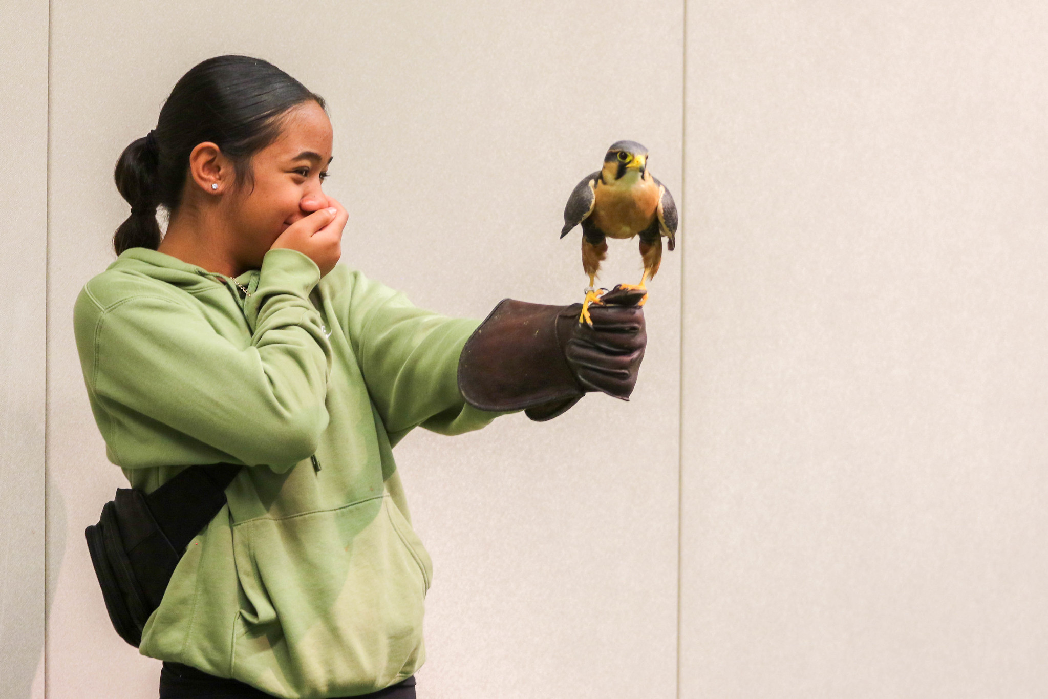 Backstage Passes - Liberty Park