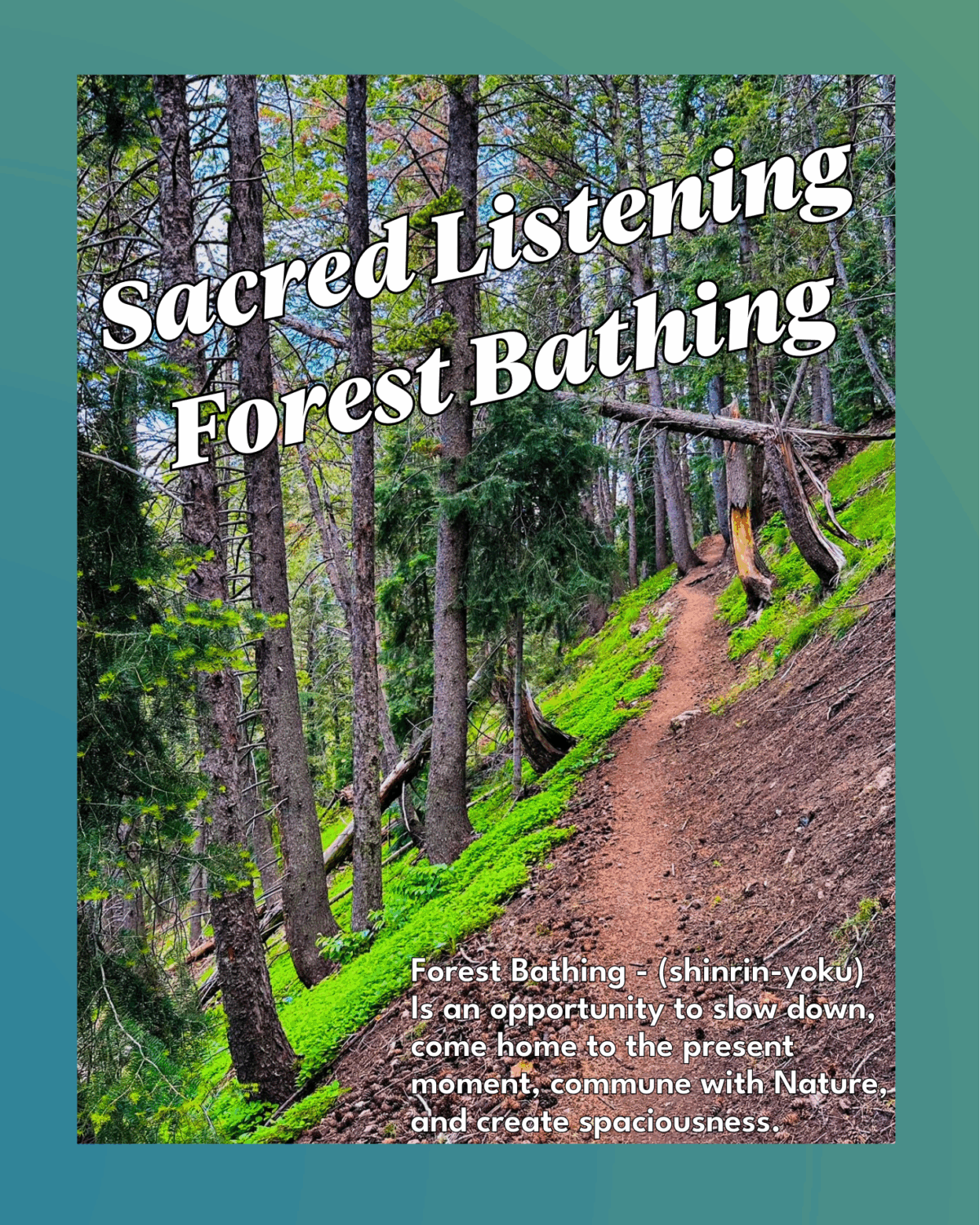 Sacred Listening – Forest Bathing - Liberty Park