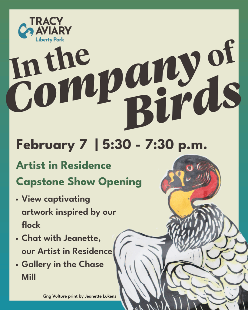 In the Company of Birds: Artist in Residence Show Opening - Liberty Park