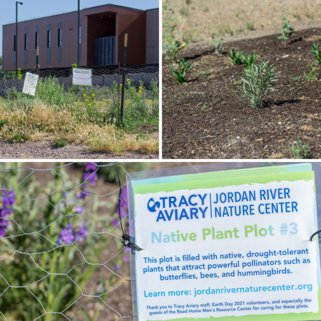 Conservation Efforts - Tracy Aviary's Nature Center