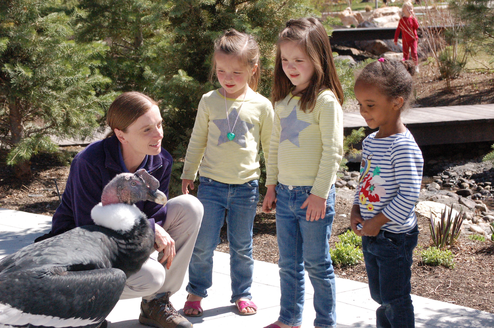 Remembering Andy N Condor - Tracy Aviary