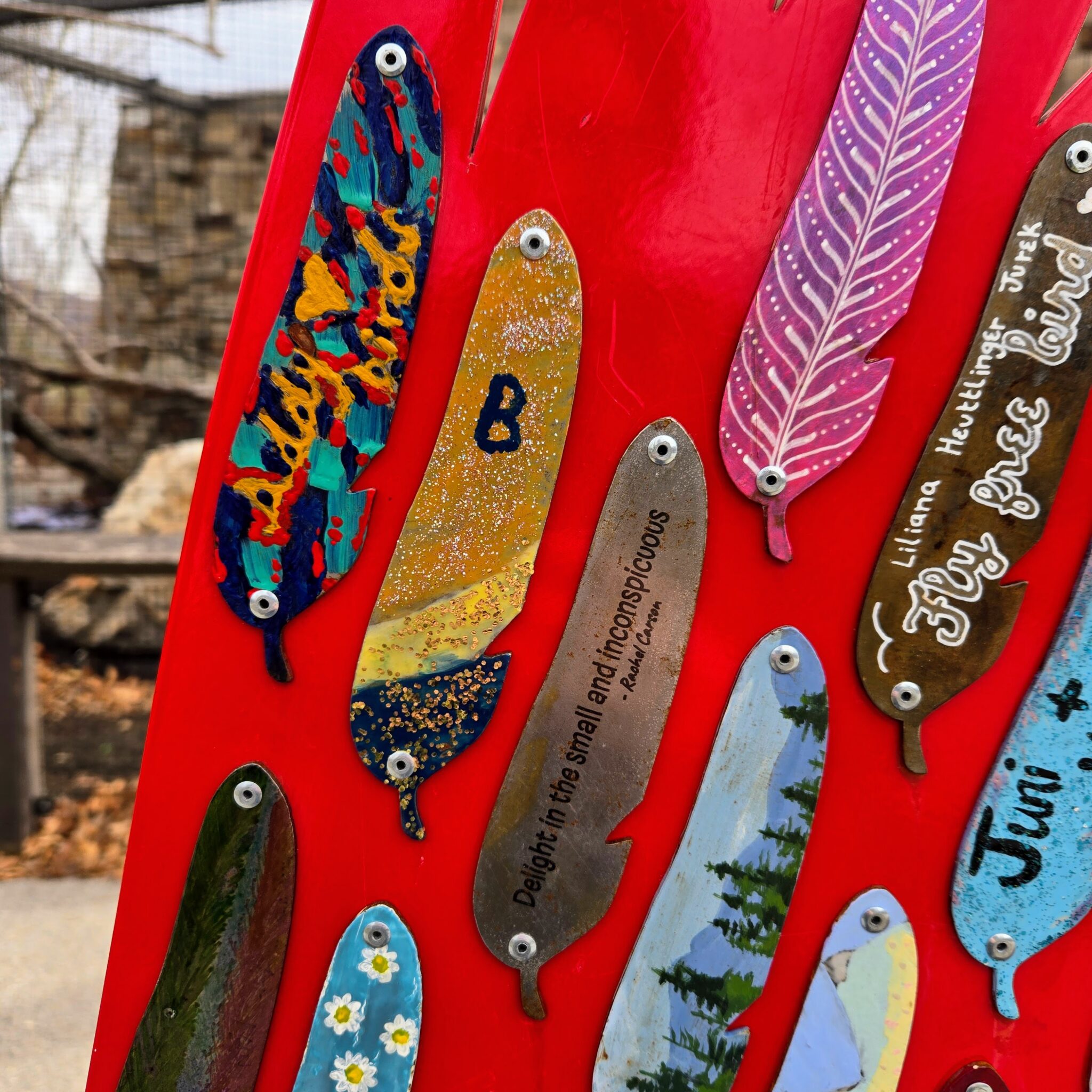 Donate to the Tracy Aviary - Your Support Helps Birds